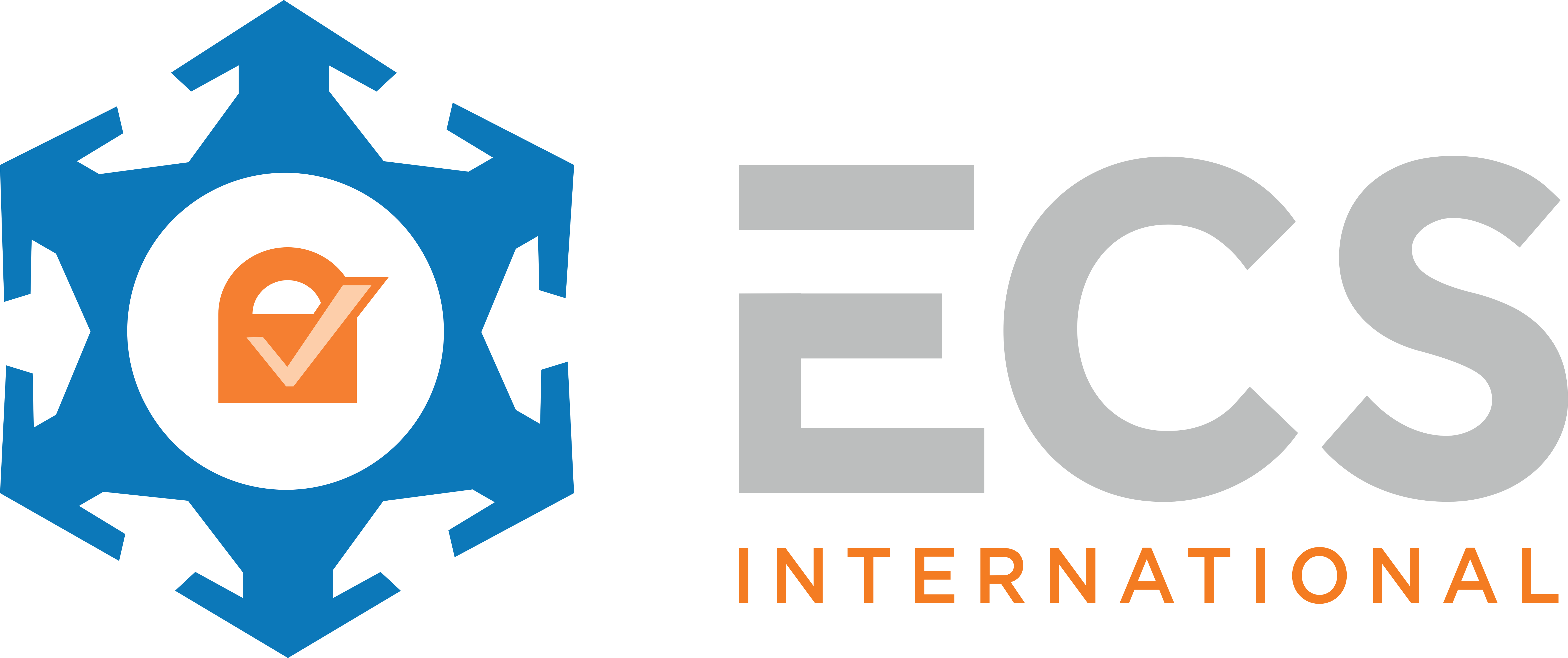 ECS and Radium Foam - Seamless Compliant Customs Declarations